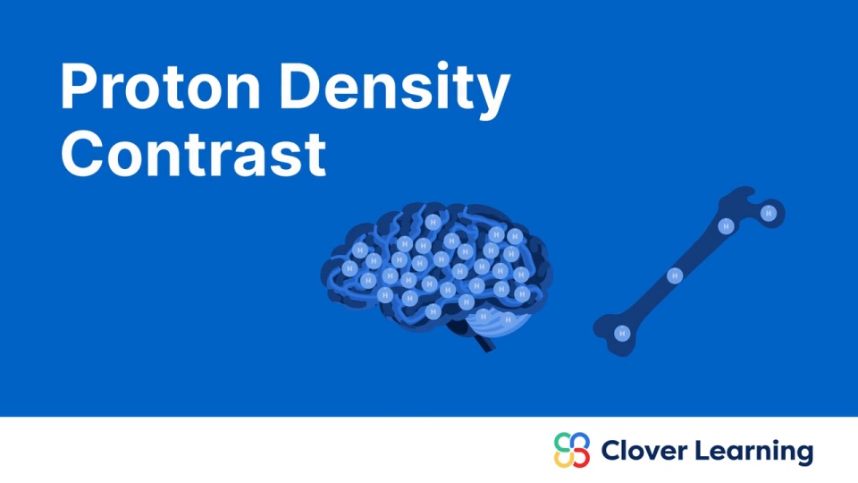 Proton Density Contrast | Video Lesson | Clover Learning