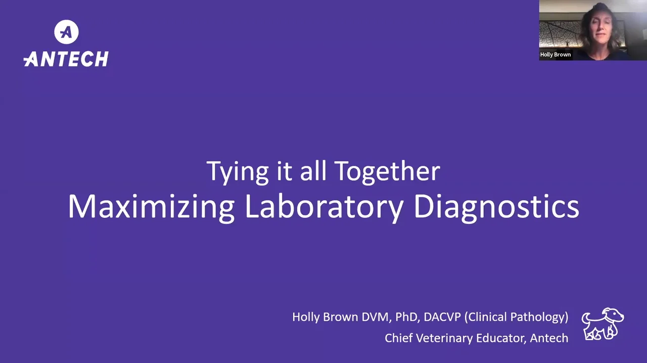 Tying it all Together: Maximizing Laboratory Diagnostics | Antech ...