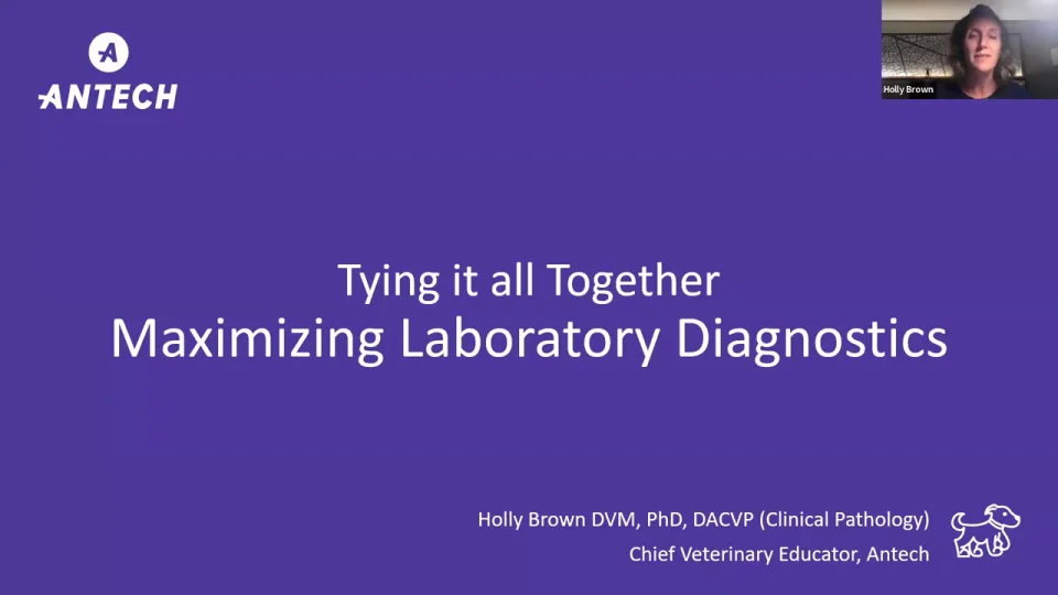 Tying it all Together: Maximizing Laboratory Diagnostics - Antech Diagnostics