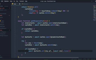 Creating Progressive Web Apps - Caching Dynamic Resources