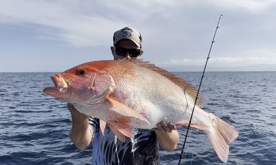 October 2023 - Port Douglas Fishing Report - FishingBooker
