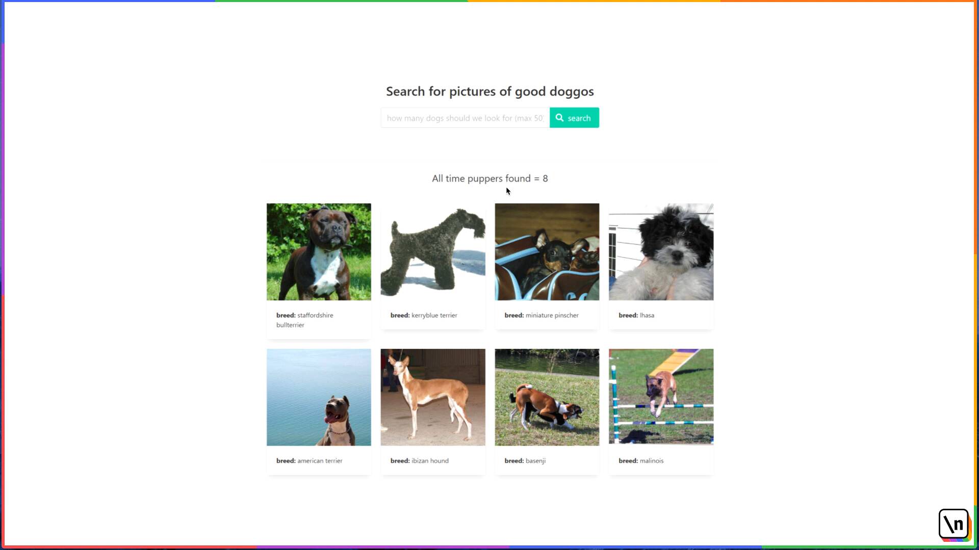 Furry Friend Gallery app - Beginner's Guide to Real World React