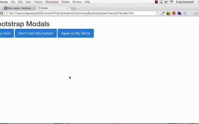 Customizing Bootstrap Components - Creating and Resetting Options