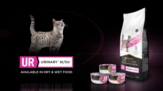 PURINA PRO PLAN VETERINARY DIETS UR St/Ox Urinary Dry Cat Food, 6-lb ...
