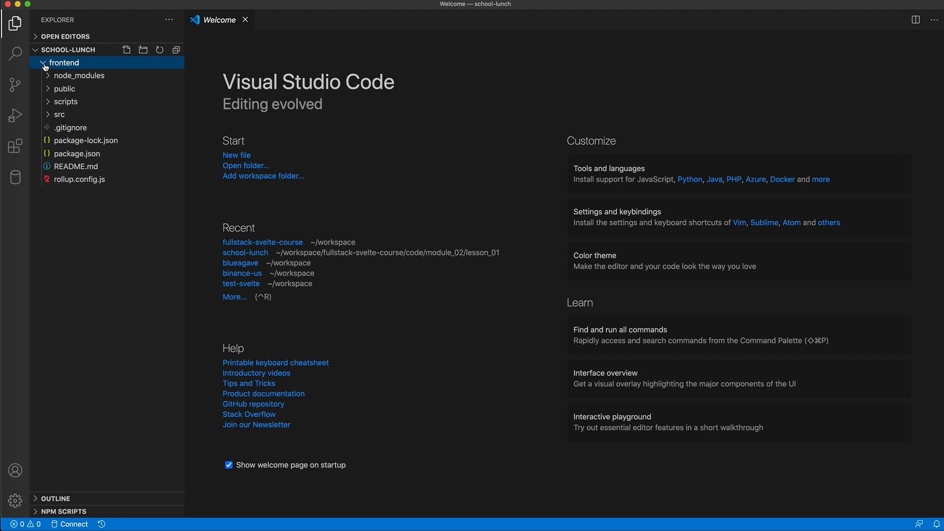 Initializing a Svelte Project - Fullstack Svelte | newline