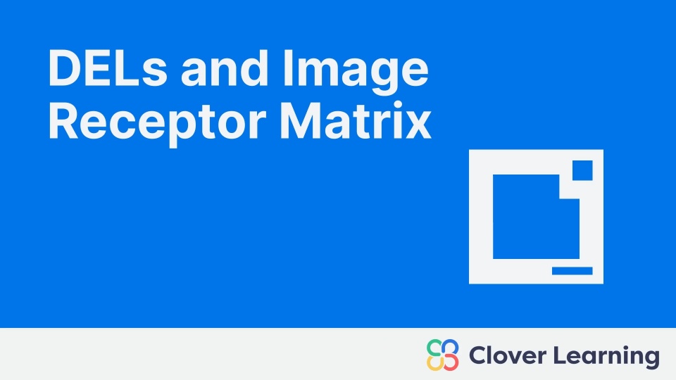 DELs and Image Receptor Matrix | Video Lesson | Clover Learning
