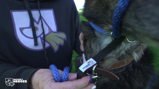 HEATHER'S HEROES The Sidekick Transitional Dog Training Leash, Blue ...