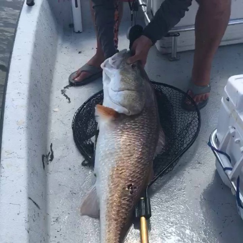 Game-on Charters, Inc. (Houma) - Updated 2023 Prices - FishingBooker