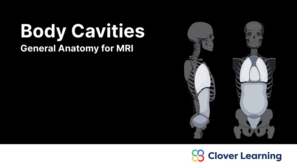 MRI: General Anatomy Body Cavities | Video Lesson | Clover Learning