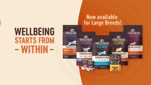 WELLNESS CORE Digestive Health Chicken & Brown Rice Dry Dog Food, 24-lb ...