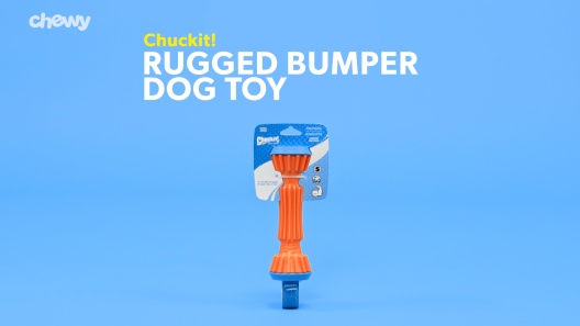 CHUCKIT! Rugged Bumper Dog Toy, Small - Chewy.com