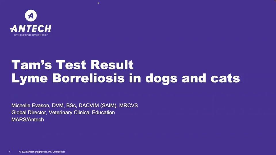 Tam's Test Result Lyme Borreliosis in Dogs and Cats | Antech Diagnostics