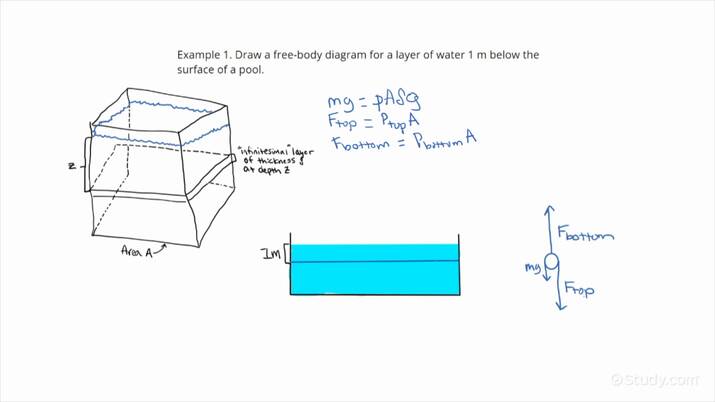 How to Draw a Free Body Diagram for an Infinitesimal Layer of Fluid at ...