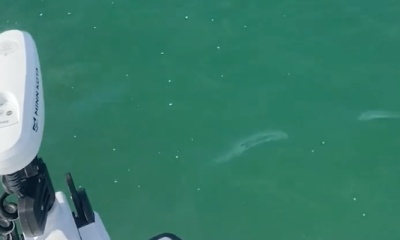 Redfish Bite is On Fire! - Port Orange Fishing Report - FishingBooker