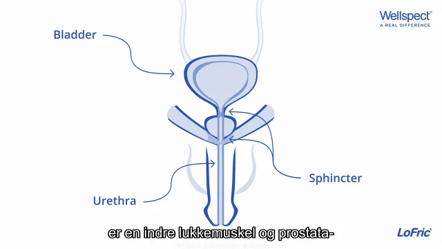 Instruksjonsfilm - Wellspect