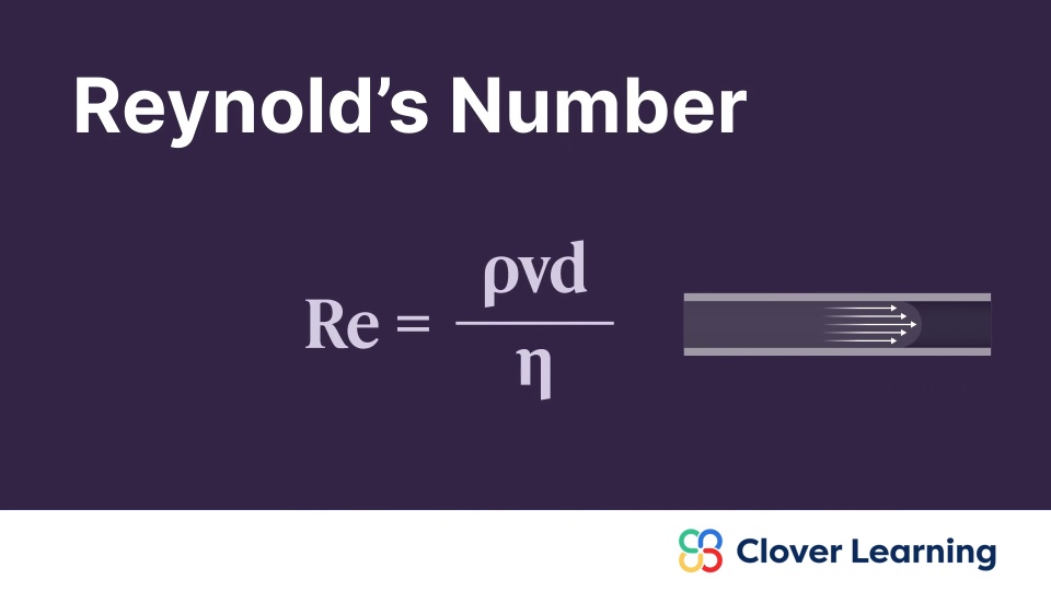Reynold's Number | Video Lesson | Clover Learning