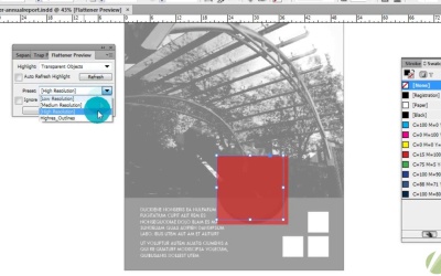 Advanced Print Design - Transparency