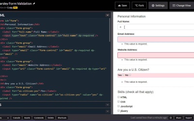 Form Validation With Parsley - String Validations