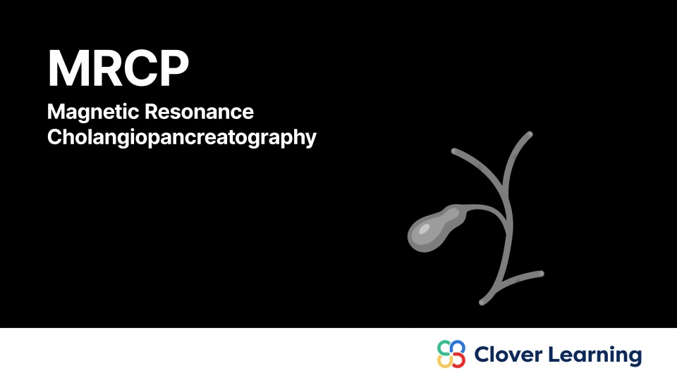 MRI Abdomen: MRCP (Anatomy) | Video Lesson | Clover Learning