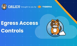 Interactive Training | Tigera - Creator of Calico