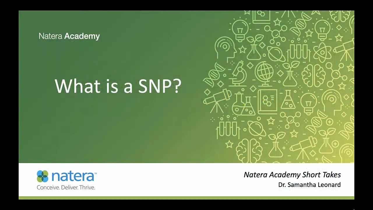 NIPT: What is a SNP?