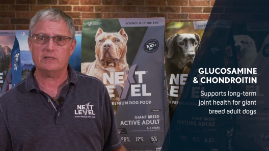 NEXT LEVEL SUPER PREMIUM PET FOOD Active Adult Gluten-Free Chicken Dry ...