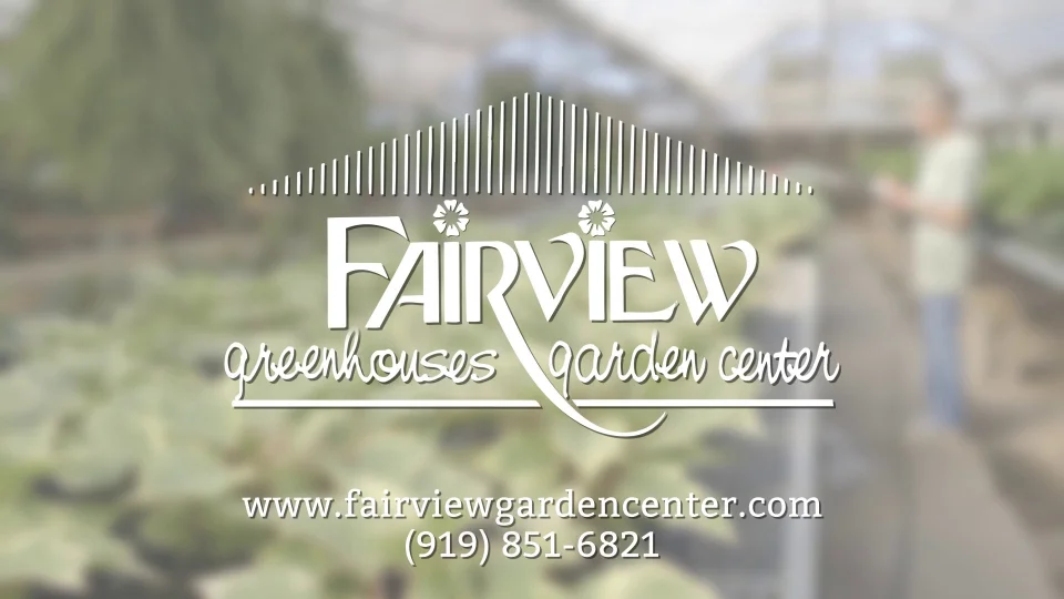 Contact Our Raleigh Garden Center | Plant Nursery Raleigh NC