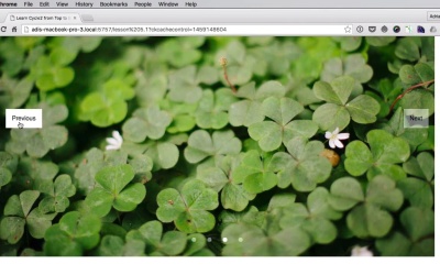 Learn Cycle2 for jQuery From Top to Bottom - Options