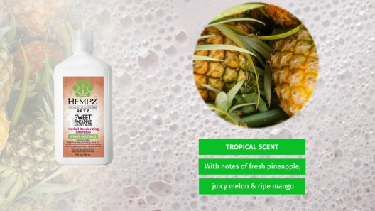 HEMPZ PETZ Deodorizing Dog Shampoo, Sweet Pineapple Honey Melon Scent ...