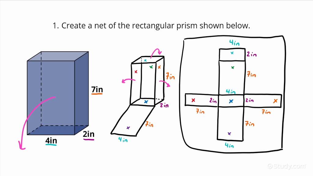 Making Nets of Solid Figures. | Geometry | Study.com