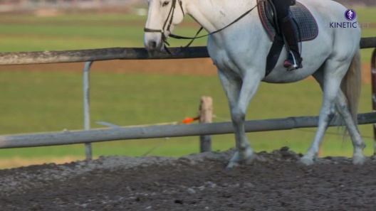 KINETICVET Conquer Joint Liquid Horse Supplement, 64-fl oz bottle ...