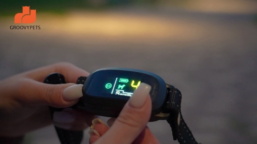 GROOVYPETS Smart Barking Control Waterproof Automatic Anti Bark Dog ...