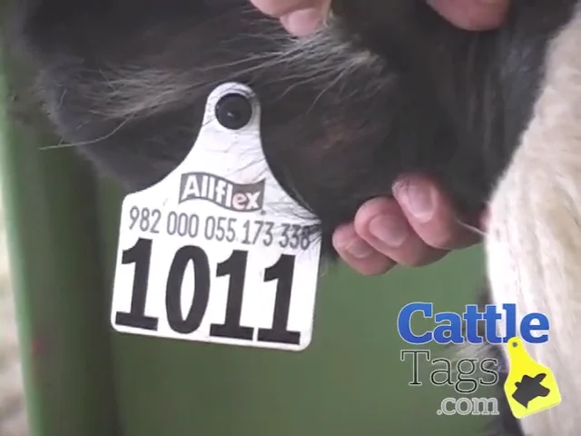 Deer Tag Application Videos – DeerTags.com