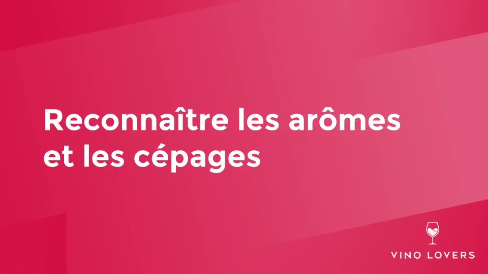 Comment reconnaître les arômes et les cépages ? – Vino Lovers