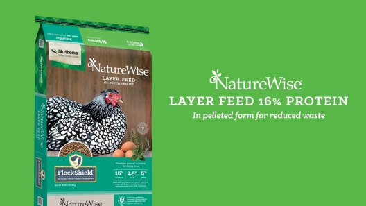 NUTRENA NatureWise Layer 16% Protein Pellet Chicken Feed, 50-lb bag ...