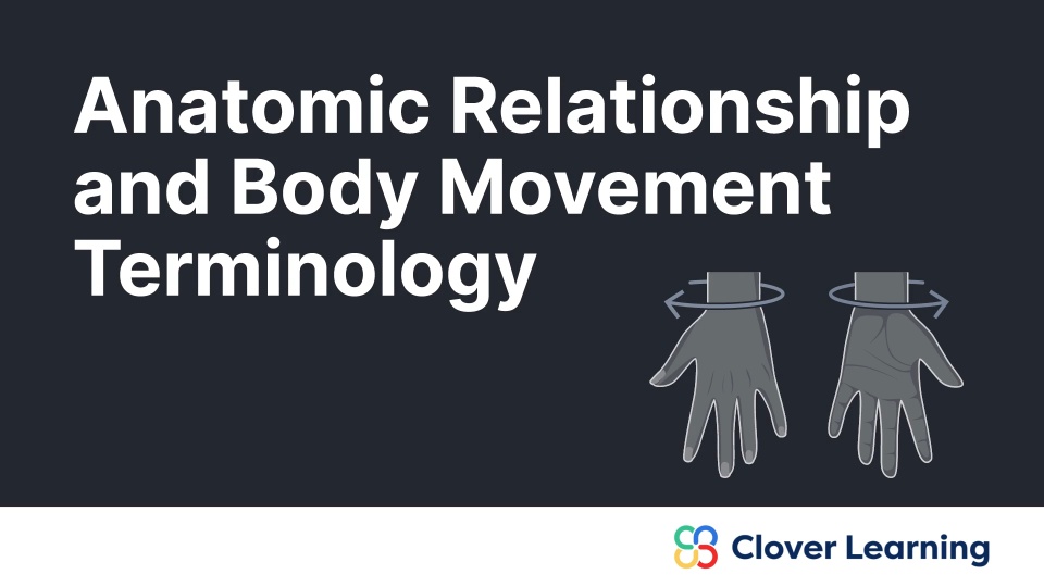 Radiography: Anatomic Relationship & Body Movement Terminology | Video ...