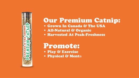 MEOWIJUANA Refillable Get Smashed Llama Pinata Wand Cat Toy - Chewy.com