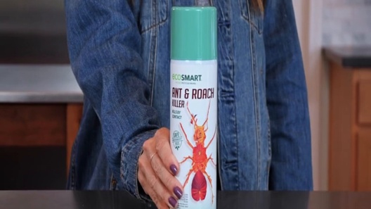 ECOSMART Ant & Roach Killer, 14-fl oz bottle - Chewy.com