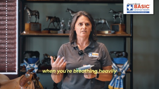 BASIC ANIMAL HEALTH O2 Advantage Gel Horse Supplement, 50-ml syringe, 1 ...