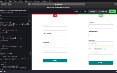 Best Practices for Displaying Form Errors - Use Password Strength Indicators