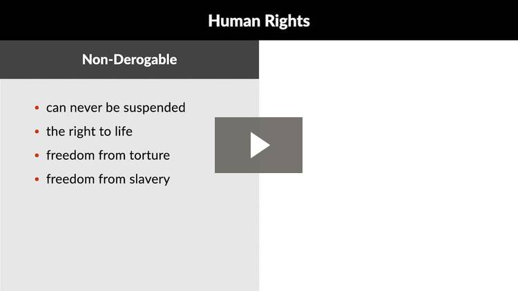 International Law Videos: Basic Principles of International Human ...