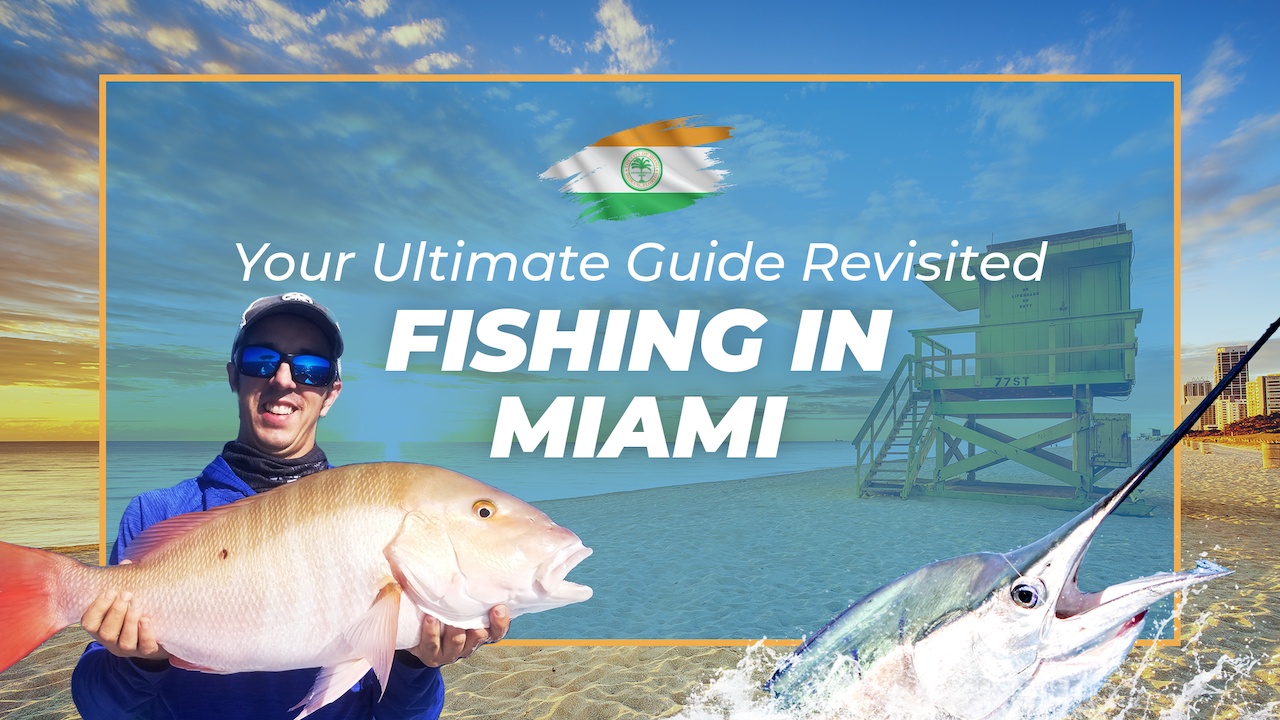 Miami Fishing: The Complete Guide (Updated 2023)