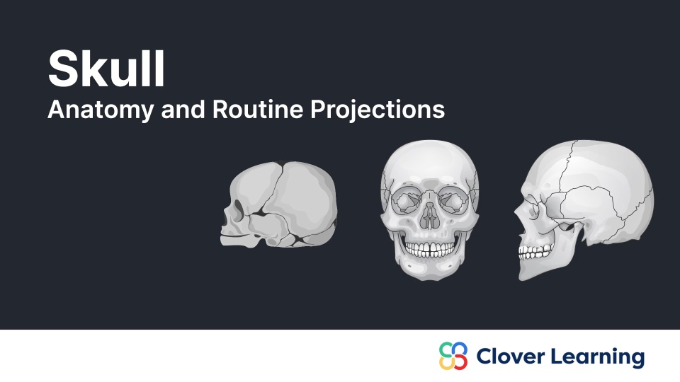 Skull: Anatomy & Routine Projections | Video Lesson | Clover Learning