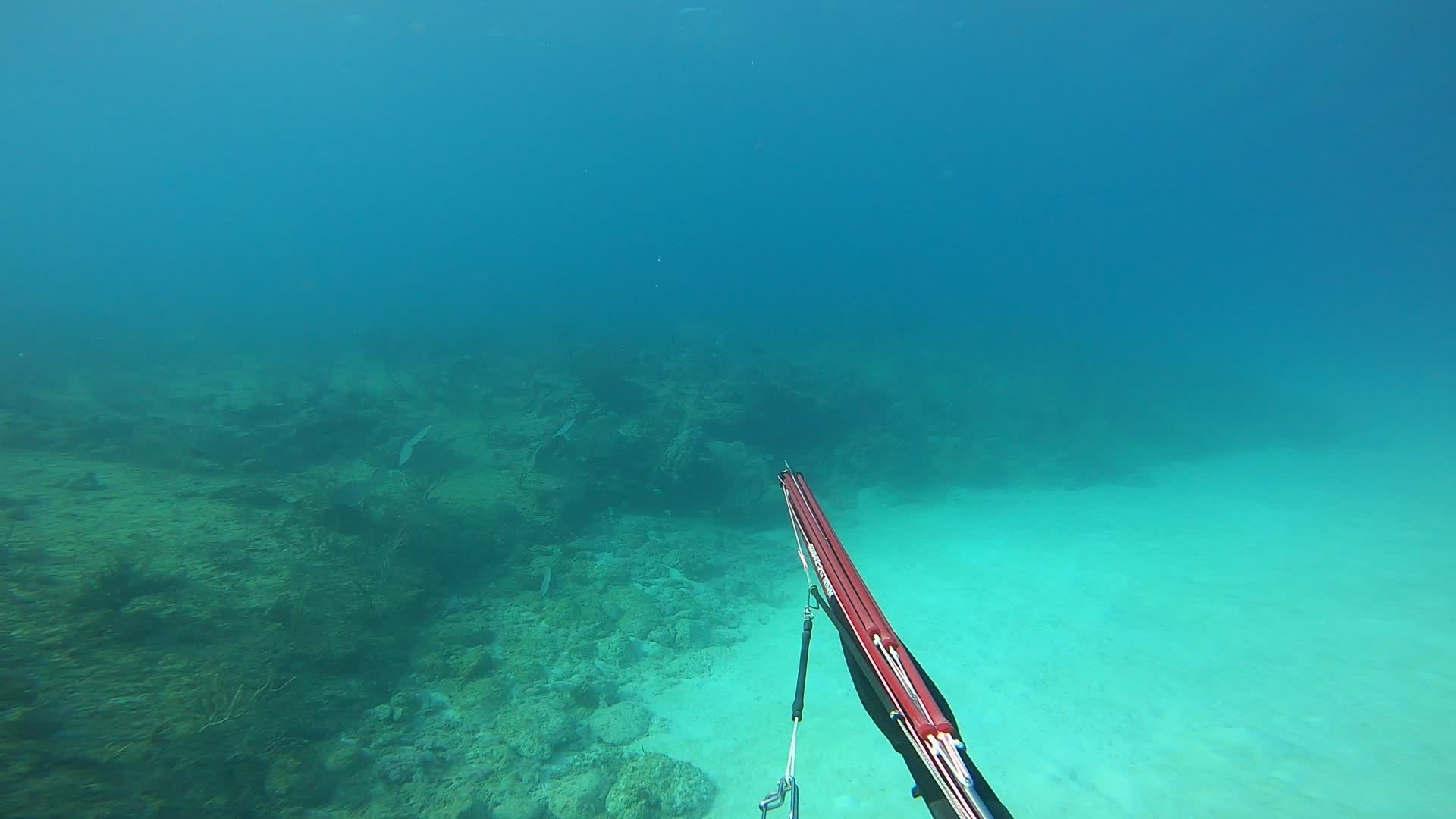 Mayan Sharks Fishing Tours - Updated 2024 Prices