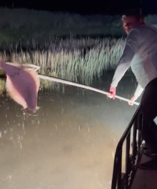 Blue Water Excursions – Night Gigging (Port Aransas) - Updated 2022 ...