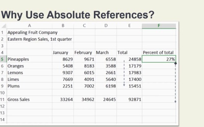 Introduction to Spreadsheets - Understanding Absolute References