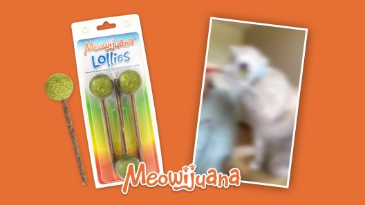 MEOWIJUANA Lollies Silvervine Sticks with Catnip, 3 count - Chewy.com