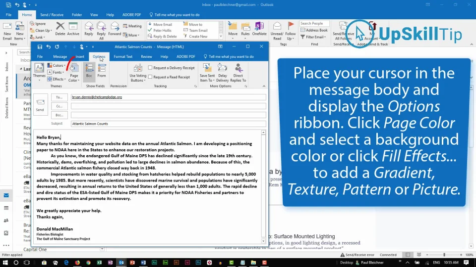 Add Backgrounds To Outlook Messages