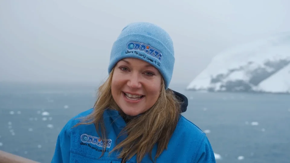 2041 SCHOOL - Oddizzi