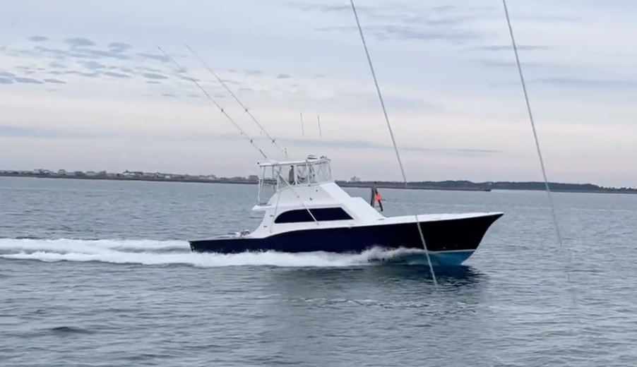 Back N’ Black - Updated 2024 Prices